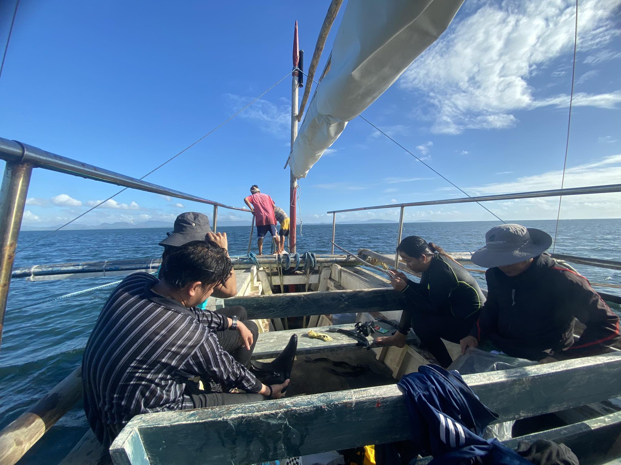Happy World Seagrass Day! - Department of Environment and Natural Resources